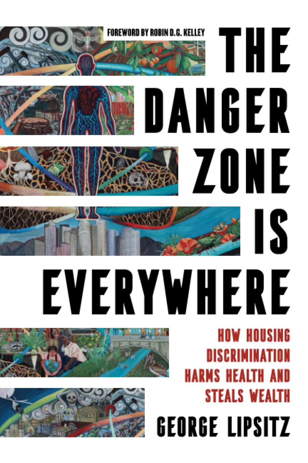 The Danger Zone Is Everywhere: How Housing Discrimination Harms Health ...