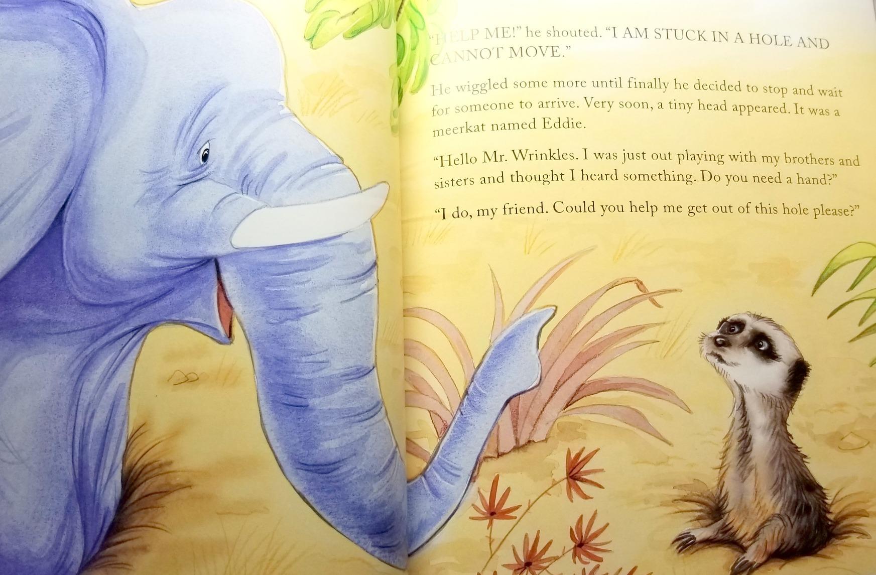 Mr. Wrinkles: Robert Pearce: 9781906606244: Amazon.com: Books