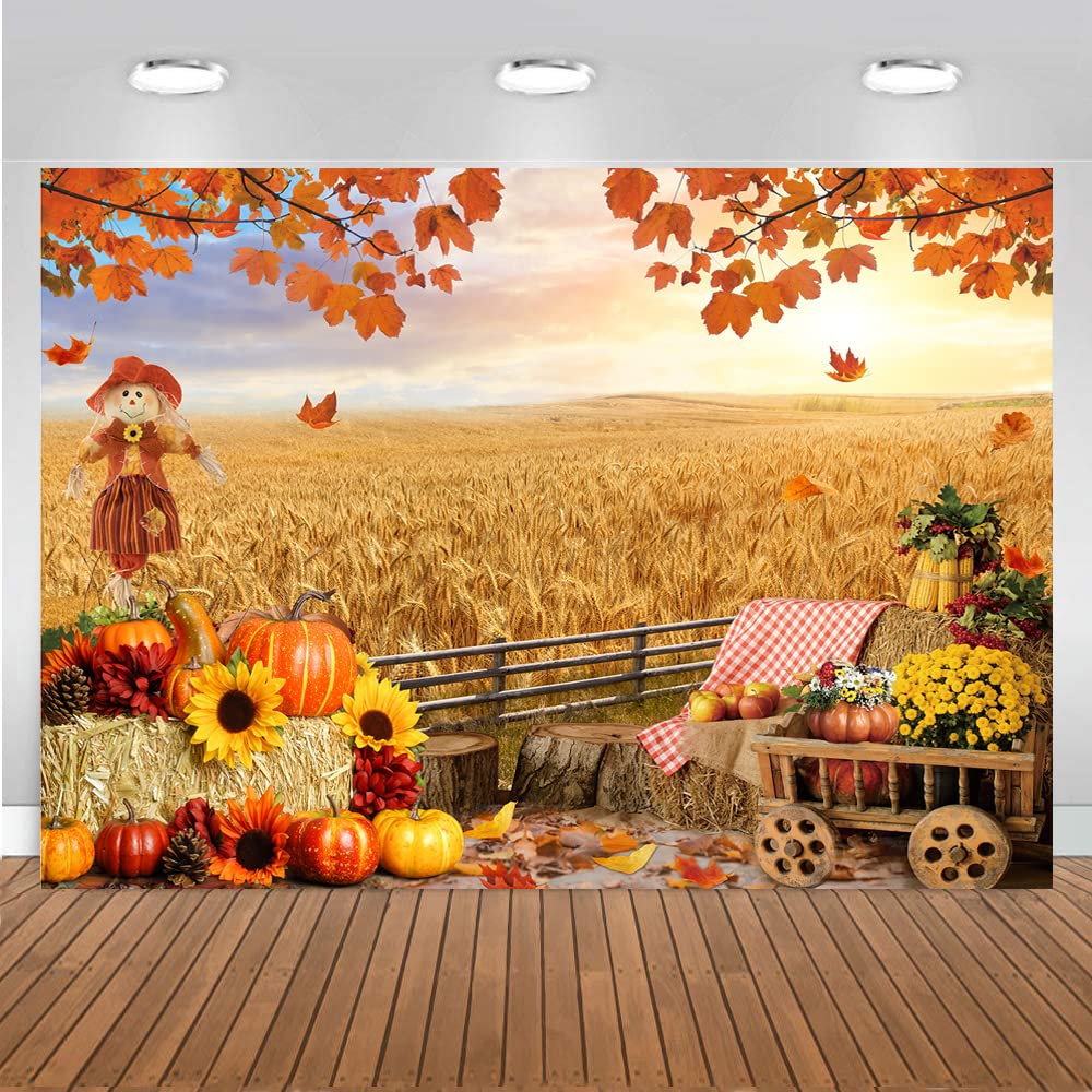 Autumn Harvest Background