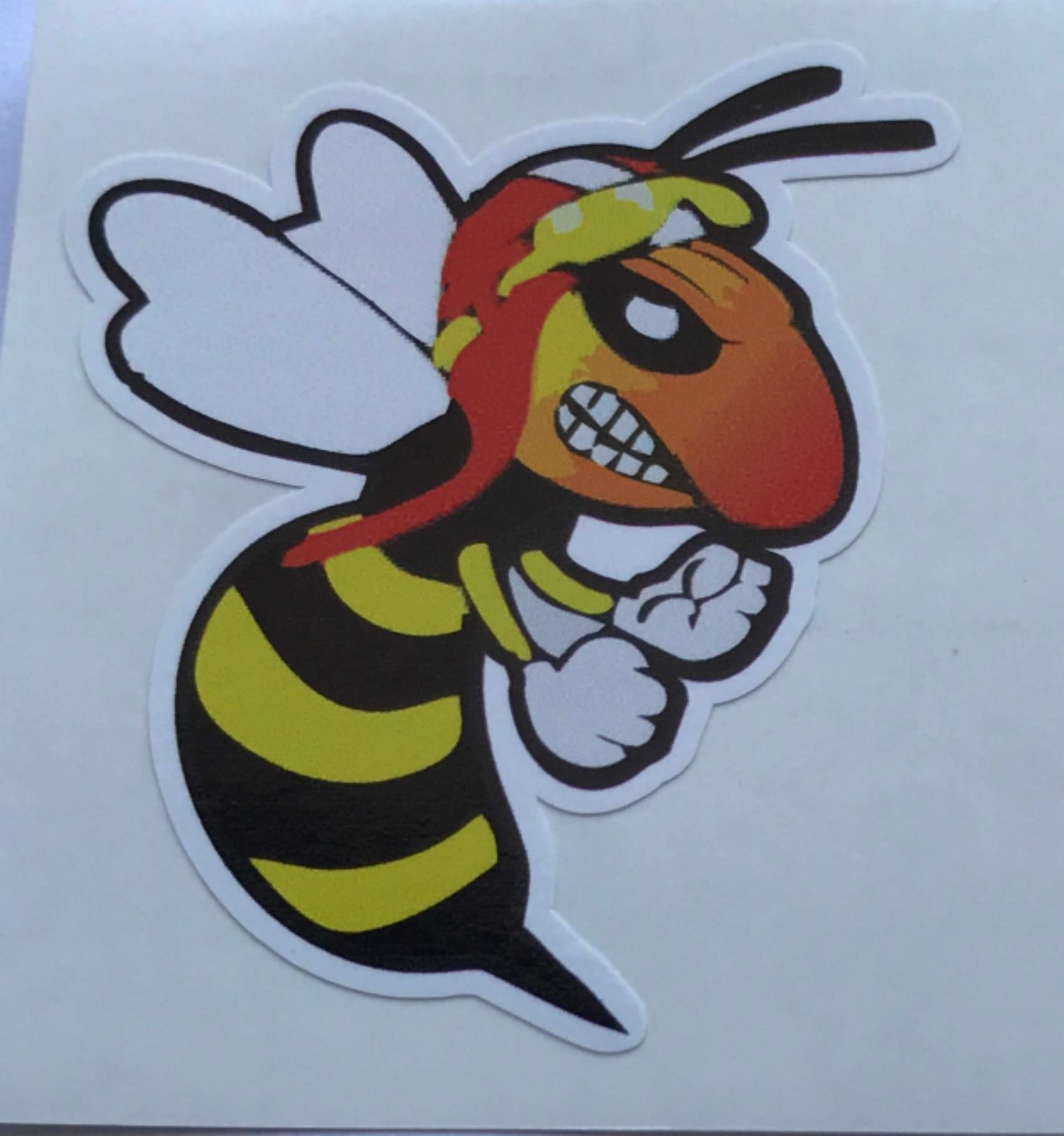 Angry Wasp Memes The Weird World Of Wasps And Why We Should Worry If