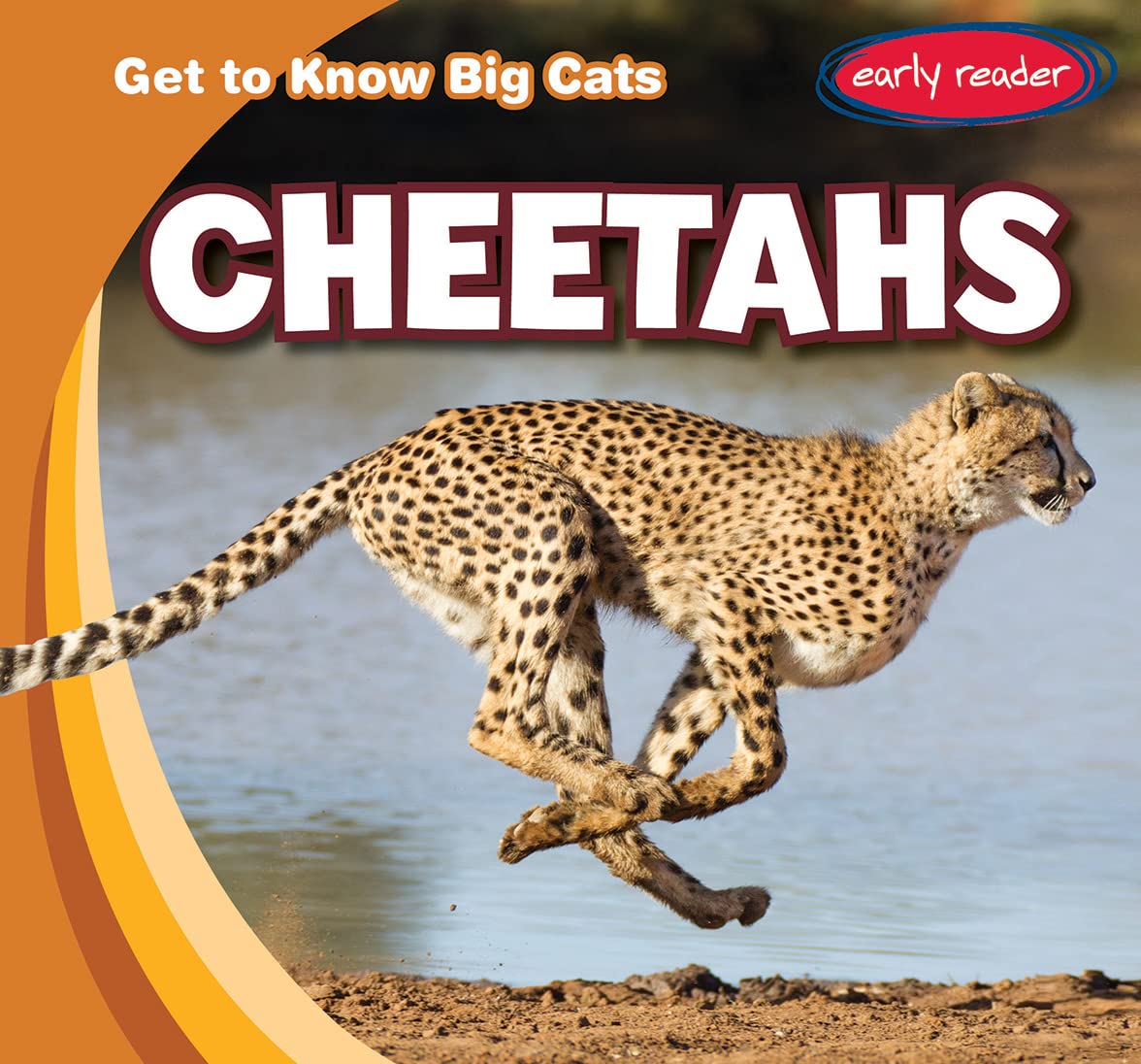 Buy Cheetahs (Get to Know Big Cats) Book Online at Low Prices in India ...