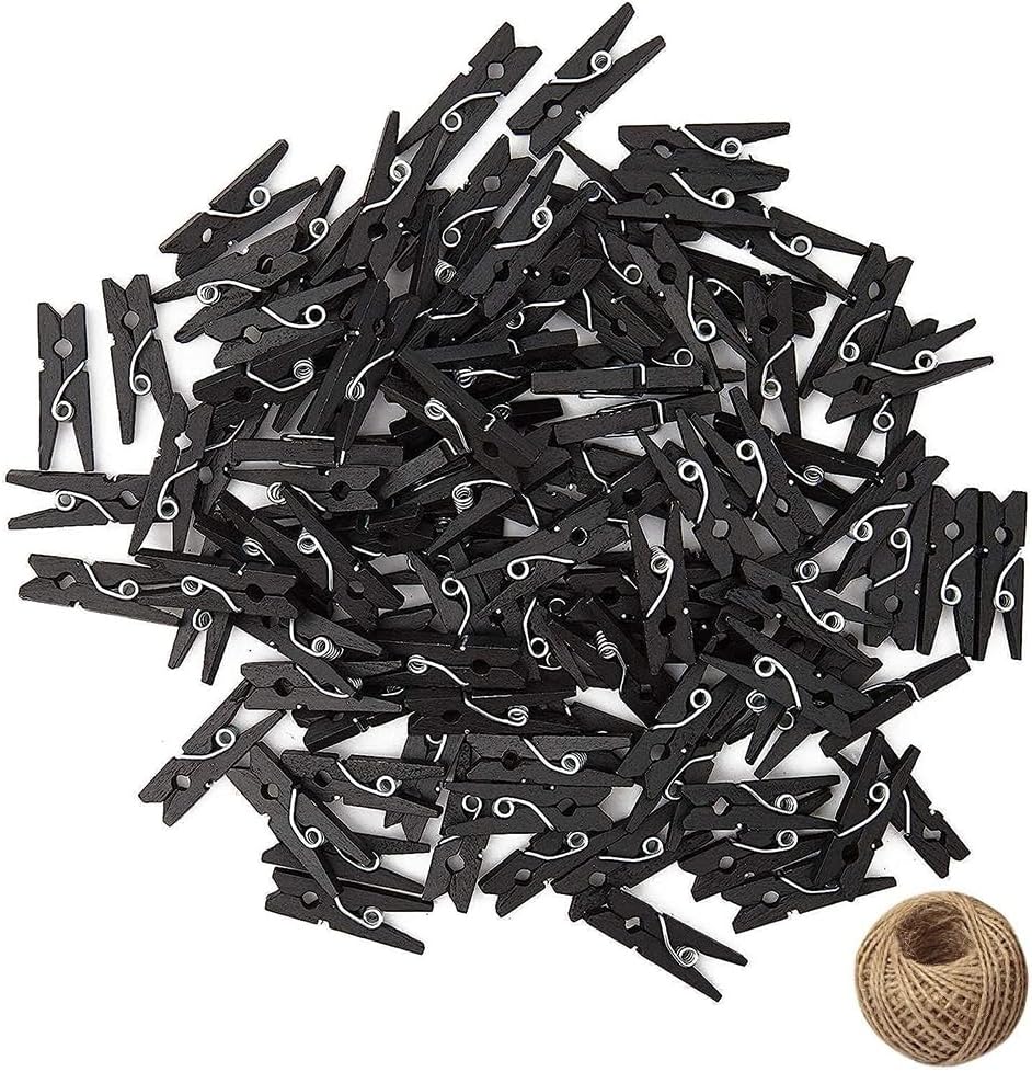 100Pcs Mini Pegs, Mini Wooden Pegs, Colored Wooden Pegs, Small Pegs for ...