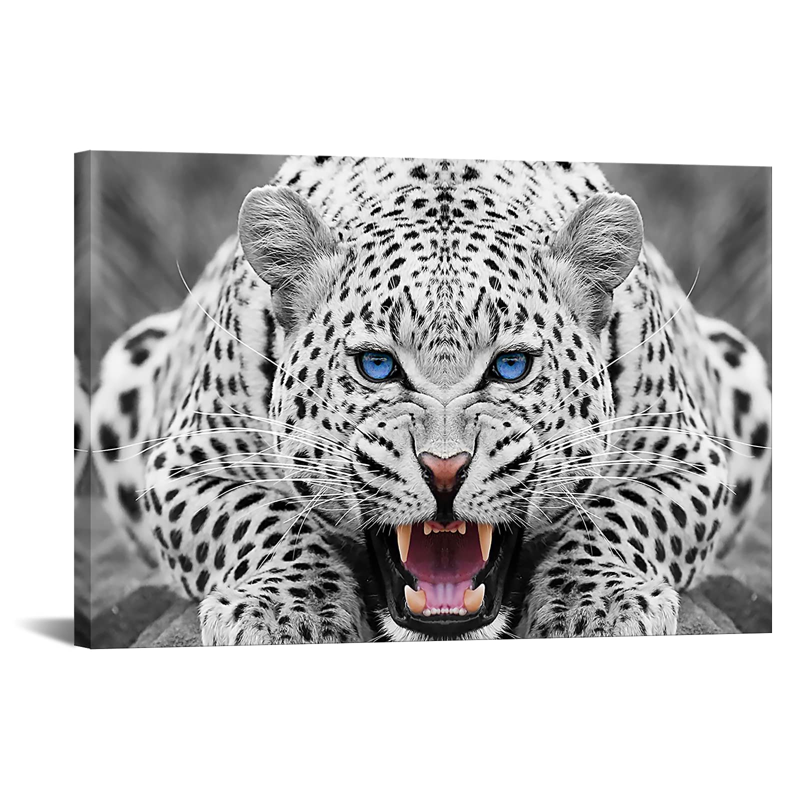 White Leopard Blue Eyes