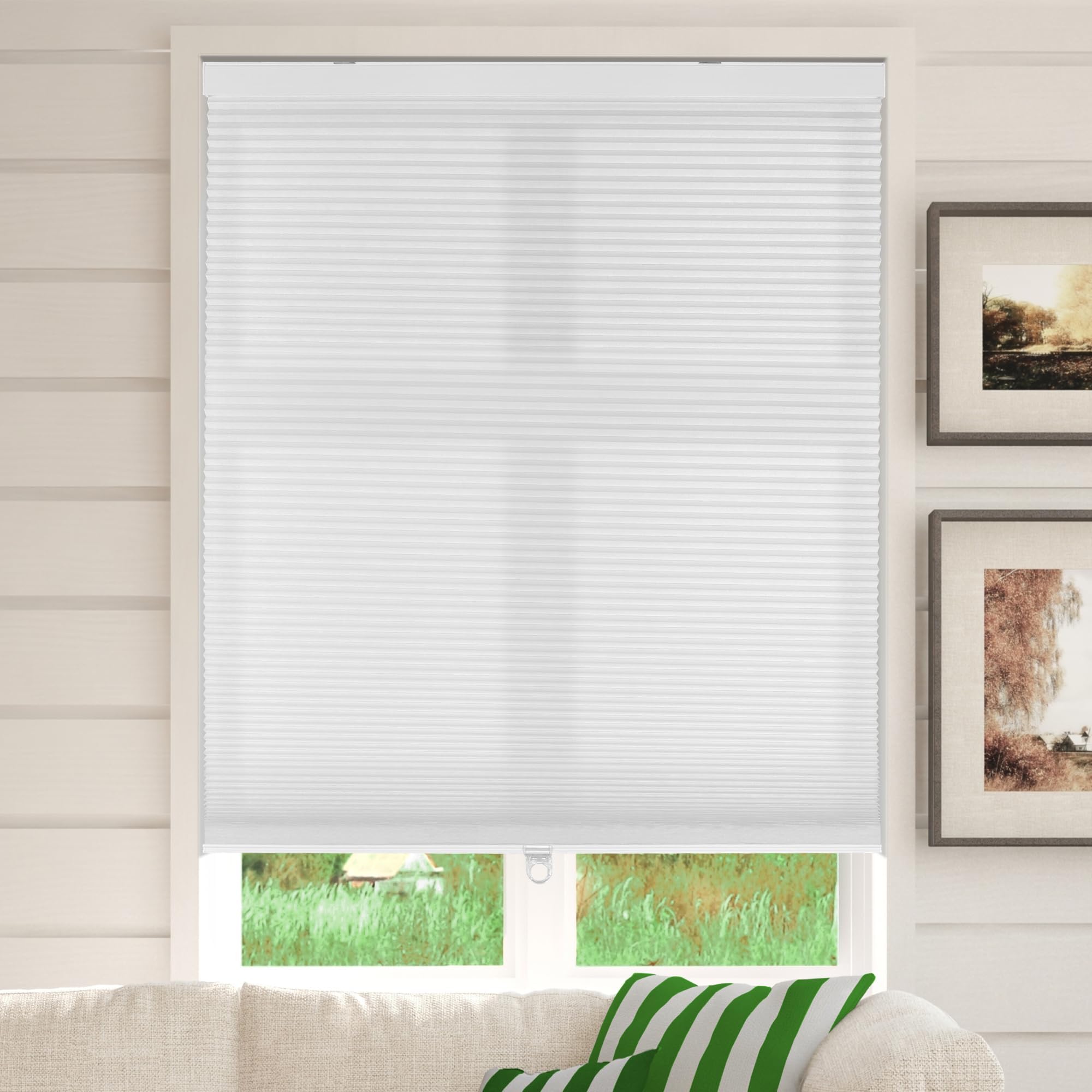 Amazon.com: CALYX INTERIORS Cellular Shades, Cordless - 46.5" Width x ...