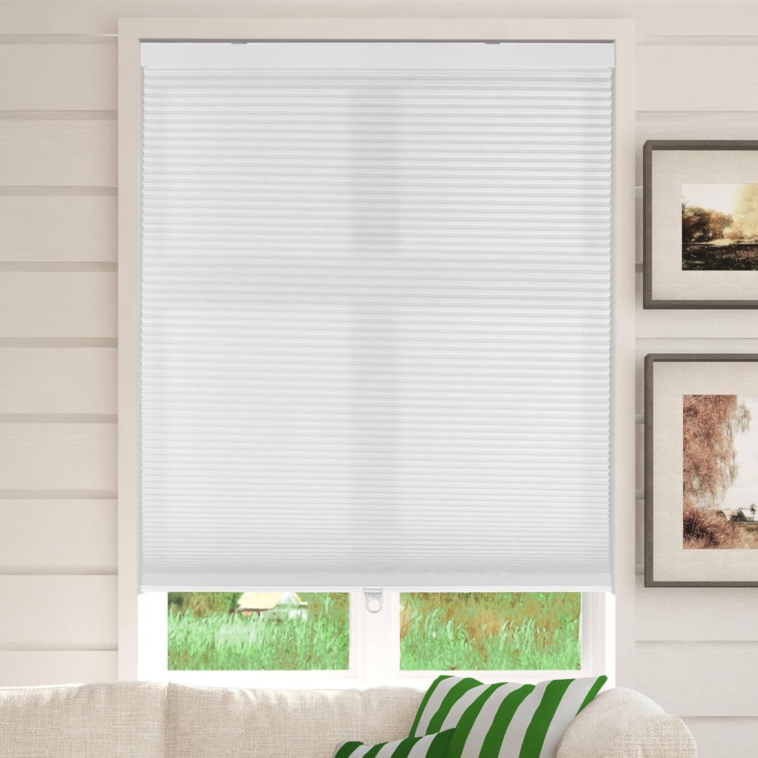 Amazon.com: CALYX INTERIORS Cellular Honeycomb Shade, Light Filtering ...