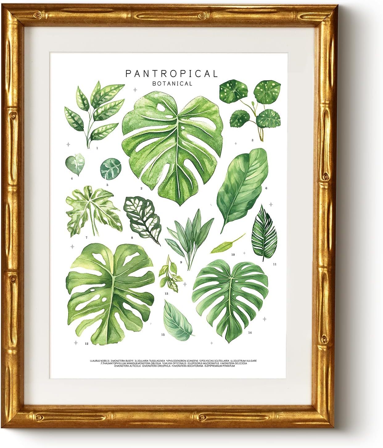 Amazon.com: Pantropical Botanical Gold Bamboo Framed Wall Art, Nature ...