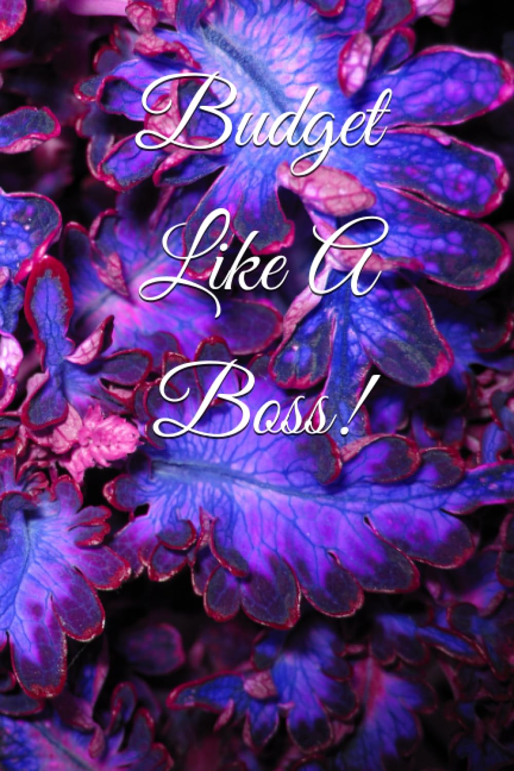 Budget Like A Boss!: Atkins, Lueresa, Sanders, Lueresa: Amazon.com: Books
