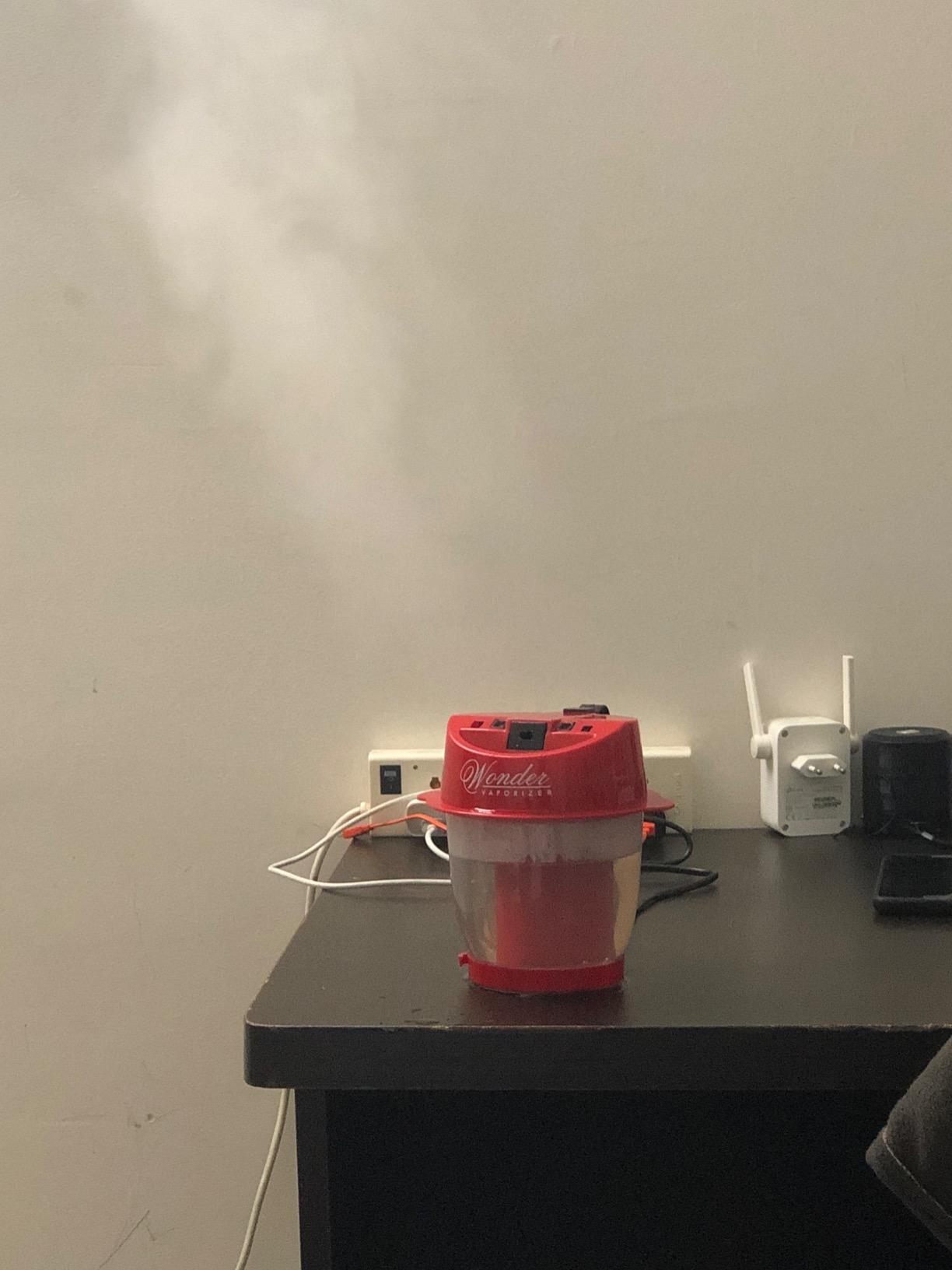 Wonder Steam Inhaler Sauna Regular Vaporizer With 10 ml Eucalyptus ...