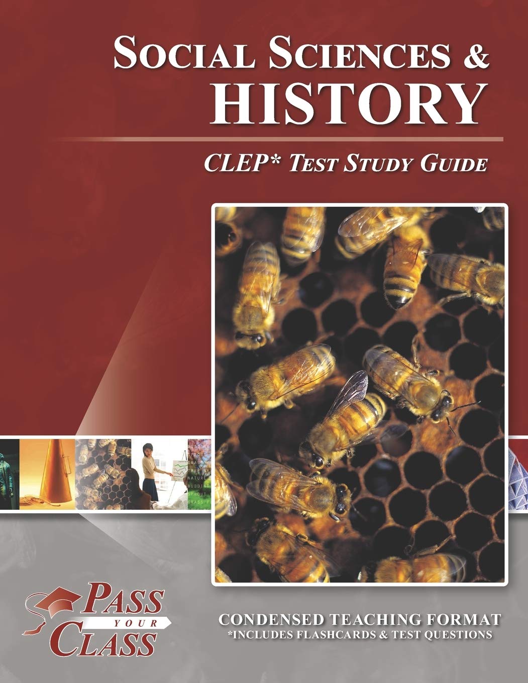 Social Sciences and History CLEP Test Study Guide: PassYourClass ...