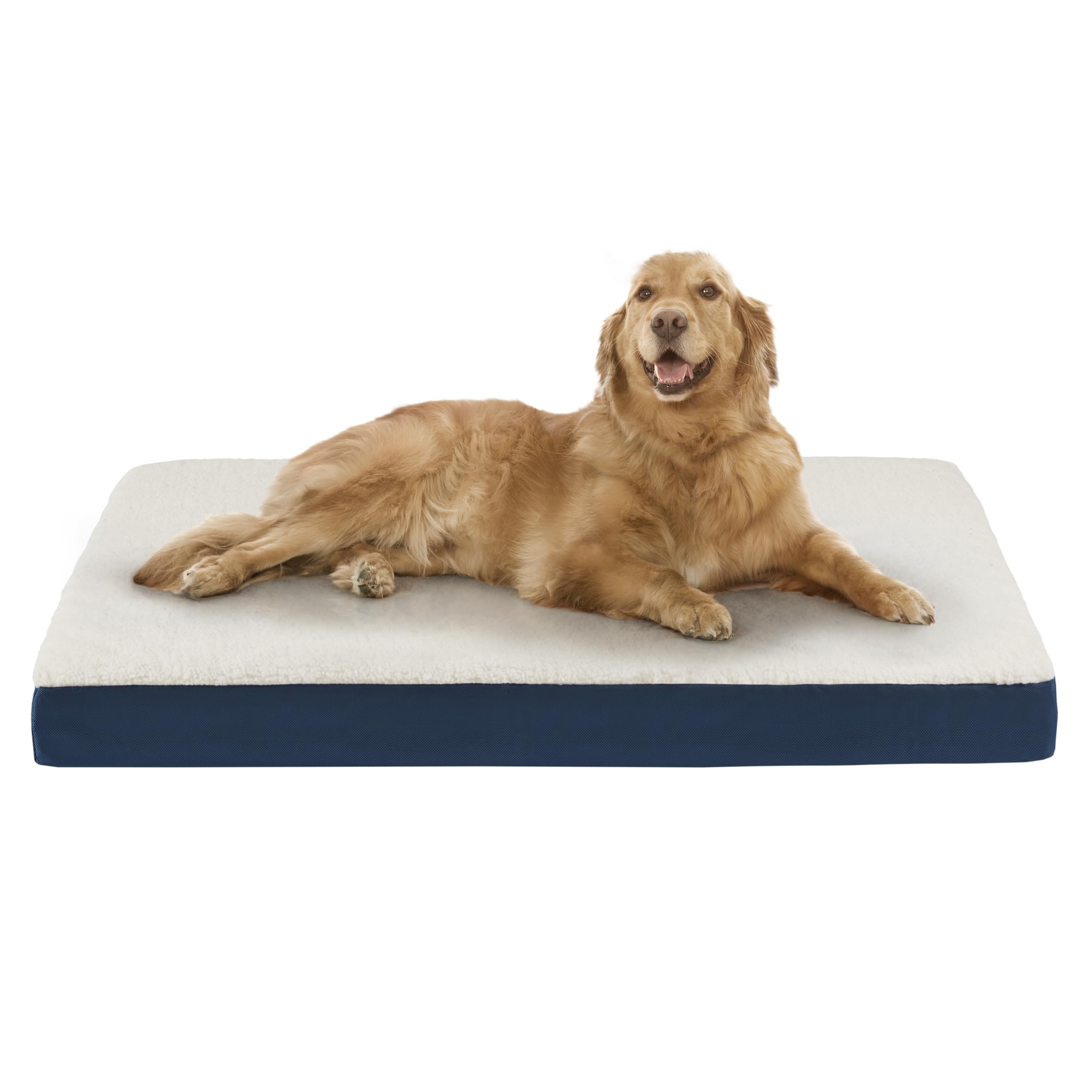 Codi Dog Bed for Large Dogs - Orthopedic Dog Beds with Memory Foam ...