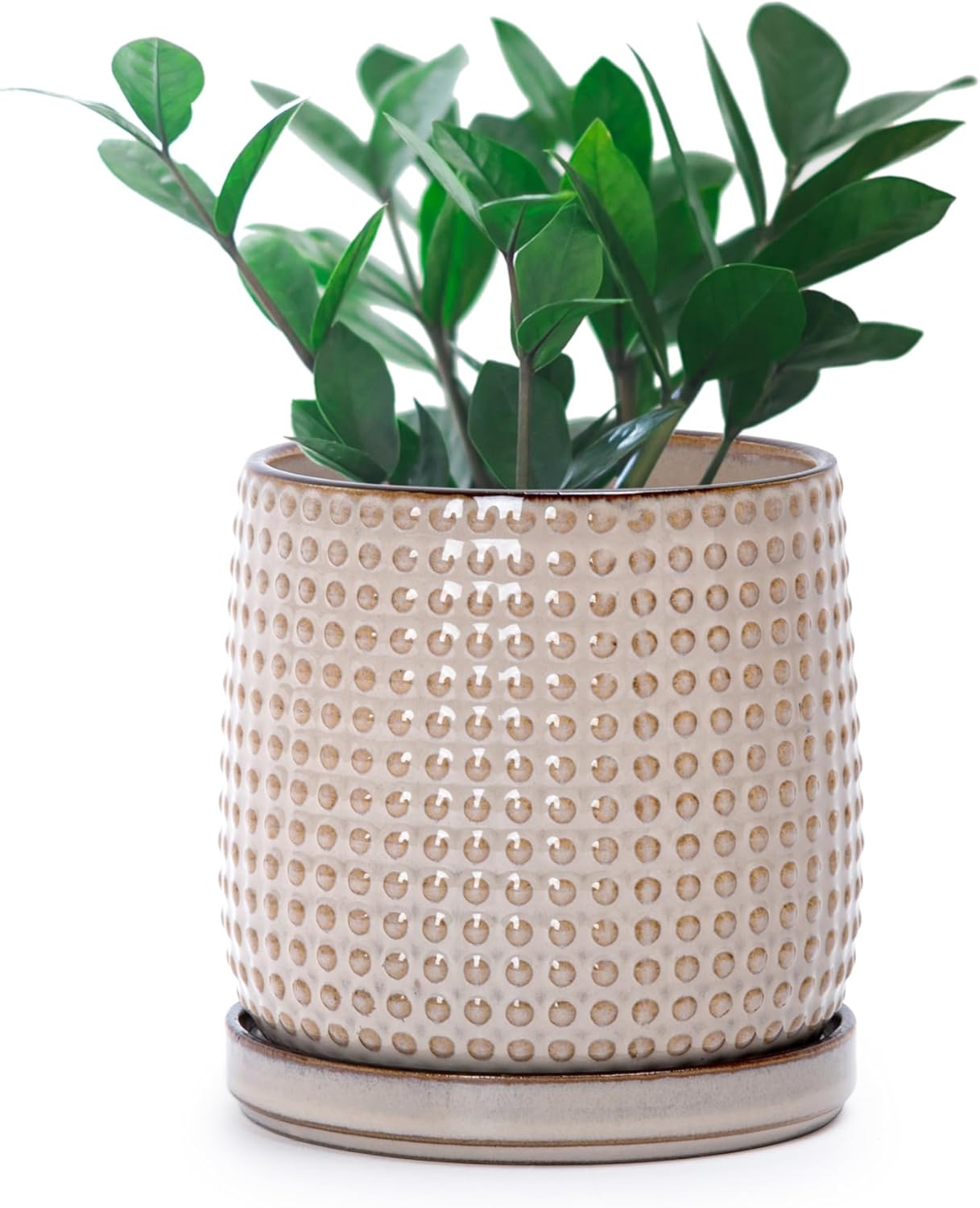 Amazon.com : D'vine Dev 4 Inch Ceramic Beaded Stoneware Planter Pot ...