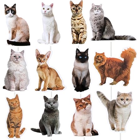 Amazon.com: 24PCS Cat Cupcake Toppers, Cats Face Cake Toppers, Kitten ...