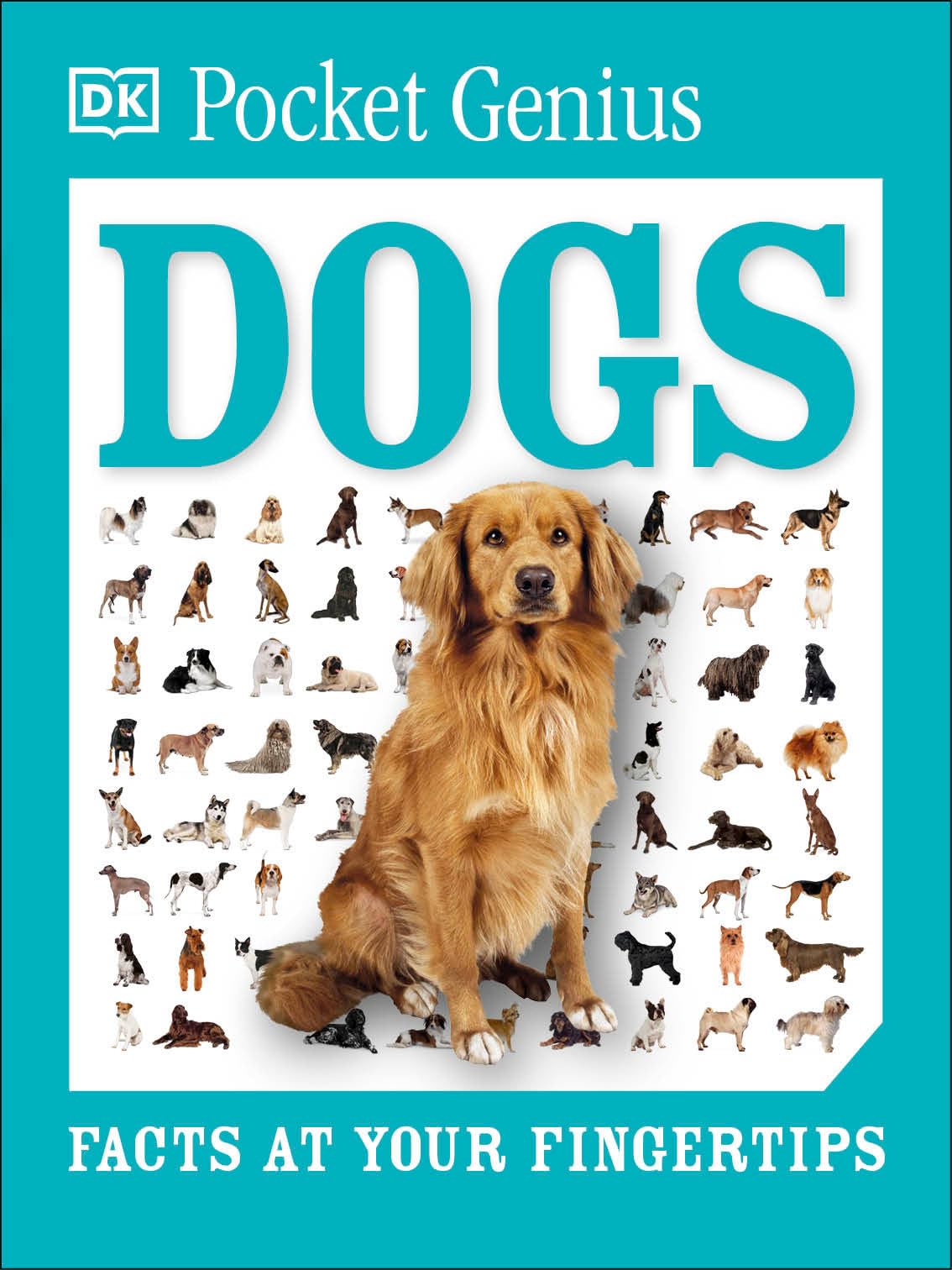 Snapklik.com : Pocket Genius: Dogs: Facts At Your Fingertips