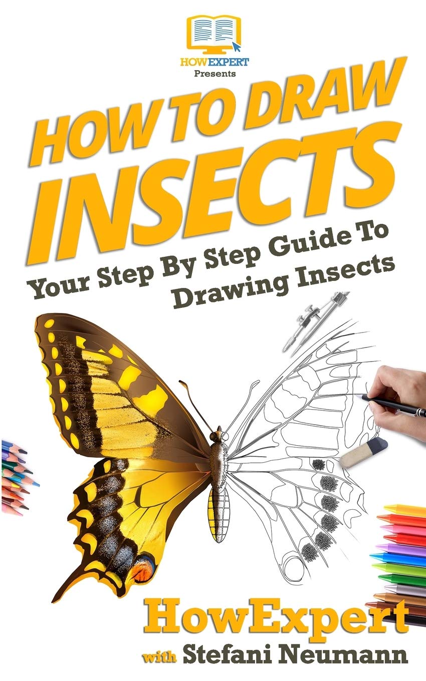 How To Draw Insects: Your Step By Step Guide To Drawing Insects ...