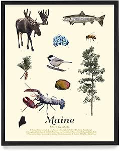 Amazon.com: WUNDERKAMMER STUDIO - Maine State Symbols Poster Print ...