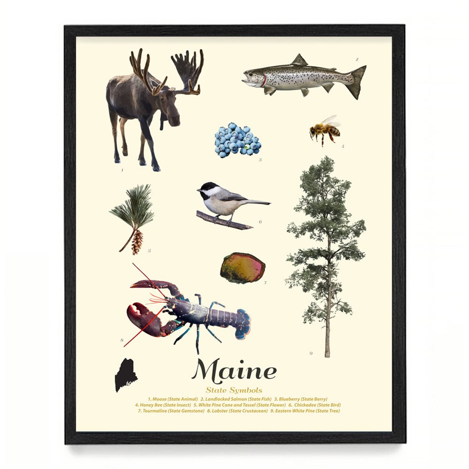 Amazon.com: WUNDERKAMMER STUDIO - Maine State Symbols Poster Print ...
