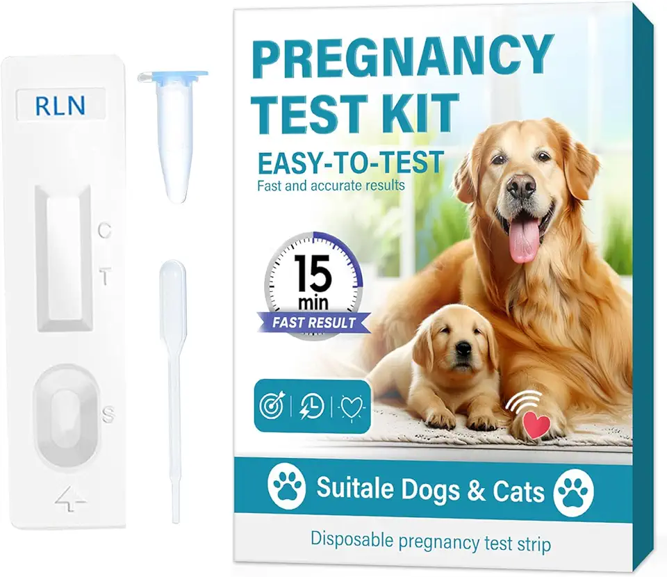 Is It Safe To Be Around Cats During Pregnancy? Debunking Myths And ...