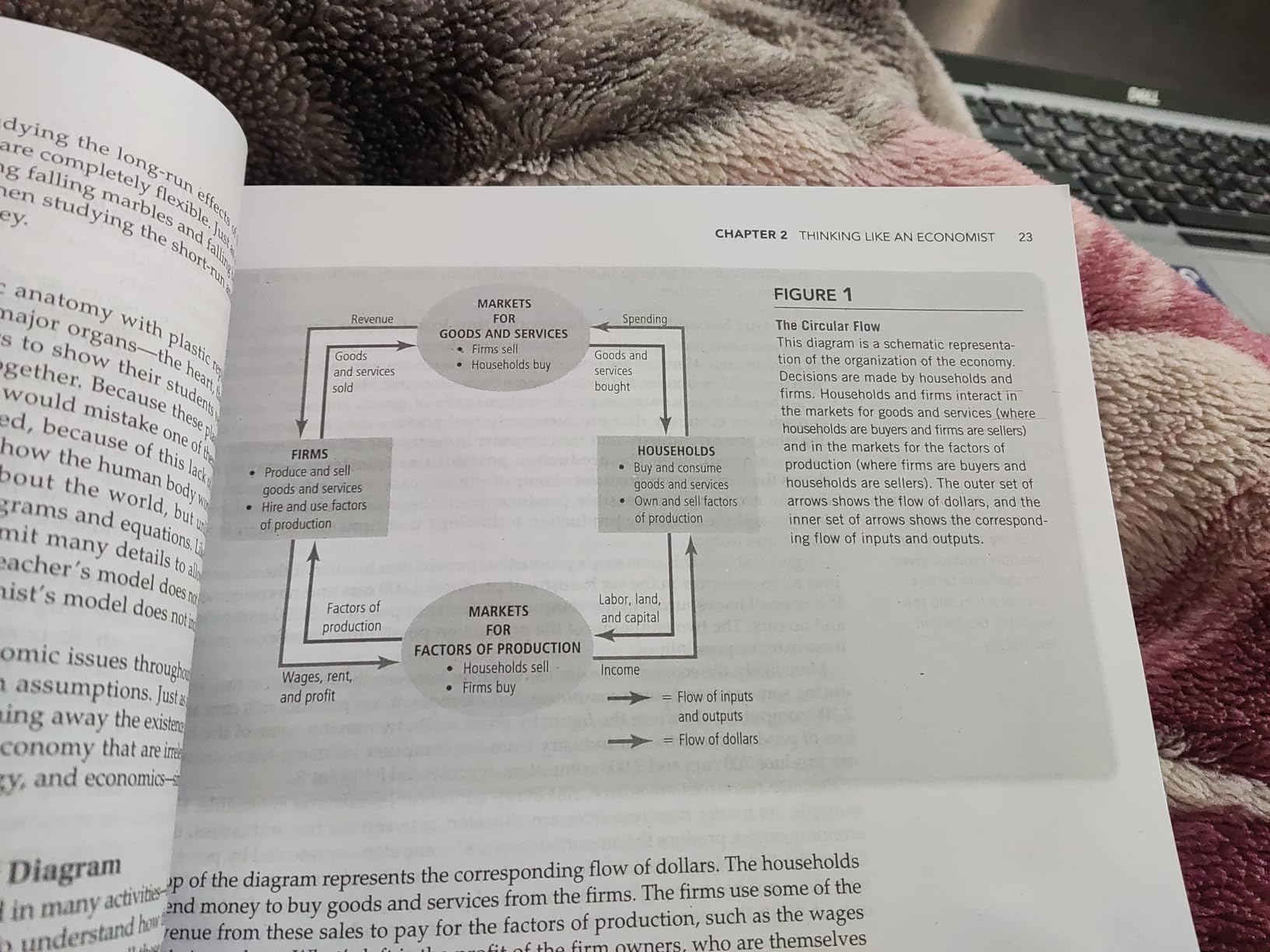 Buy Principles of Economics with MindTap, 8th Edition Book Online at ...