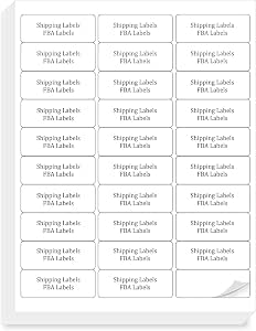 Amazon.com : 1" x 2-5/8" Shipping Address Labels, 900 Count Adhesive ...