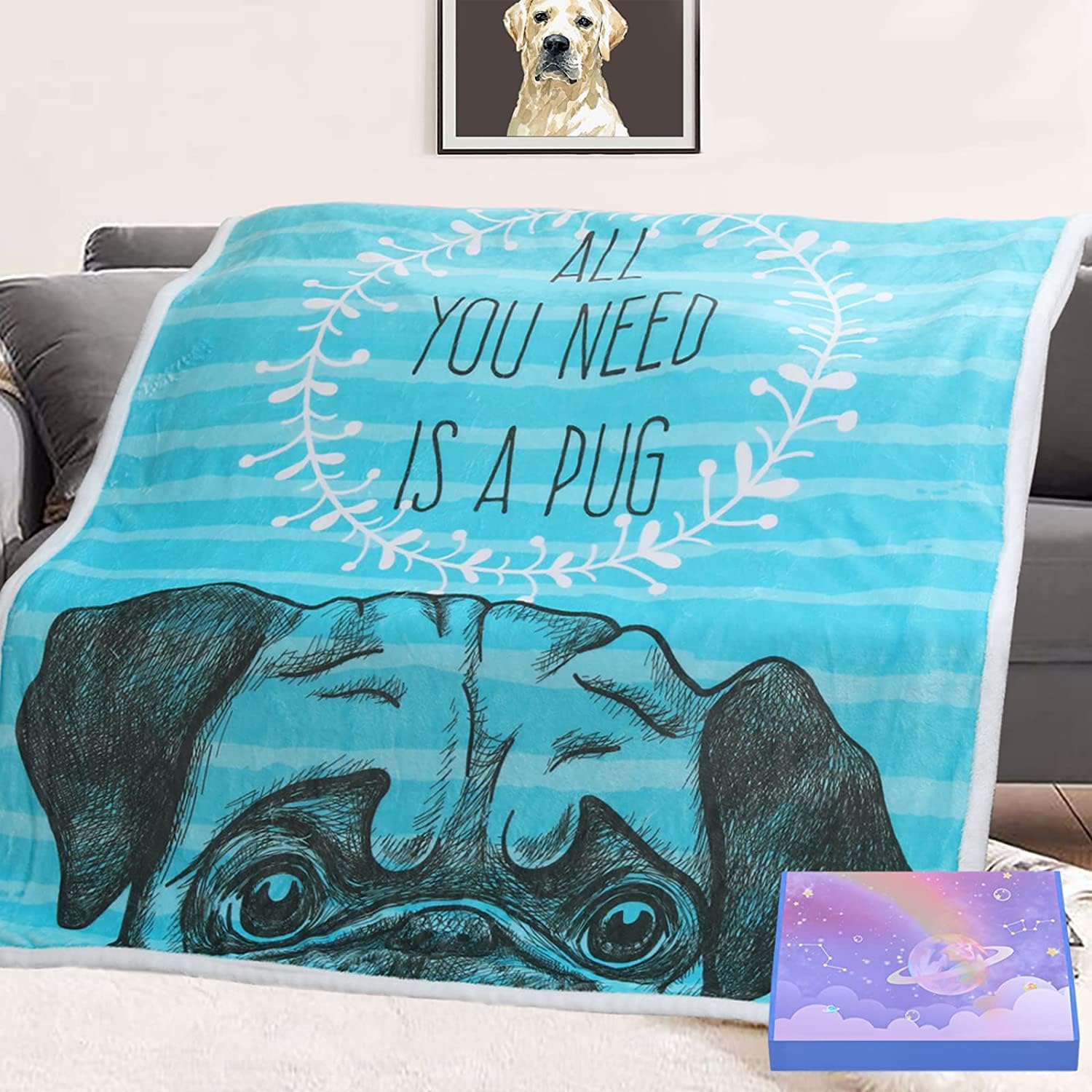 Amazon.com: Anamee Pug Throw Blanket, Pug Gifts for Pug Lovers Cartoon ...