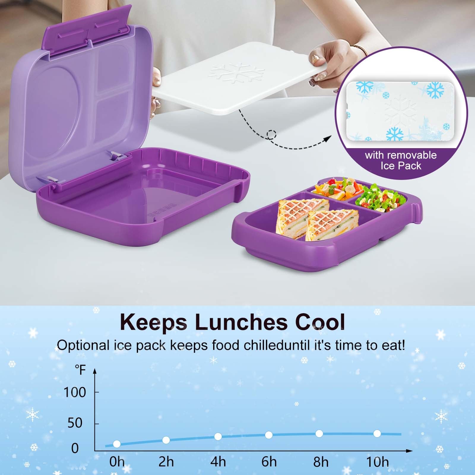Snapklik.com : MAISON HUIS Chill Bento Lunch Box For Kids Adult