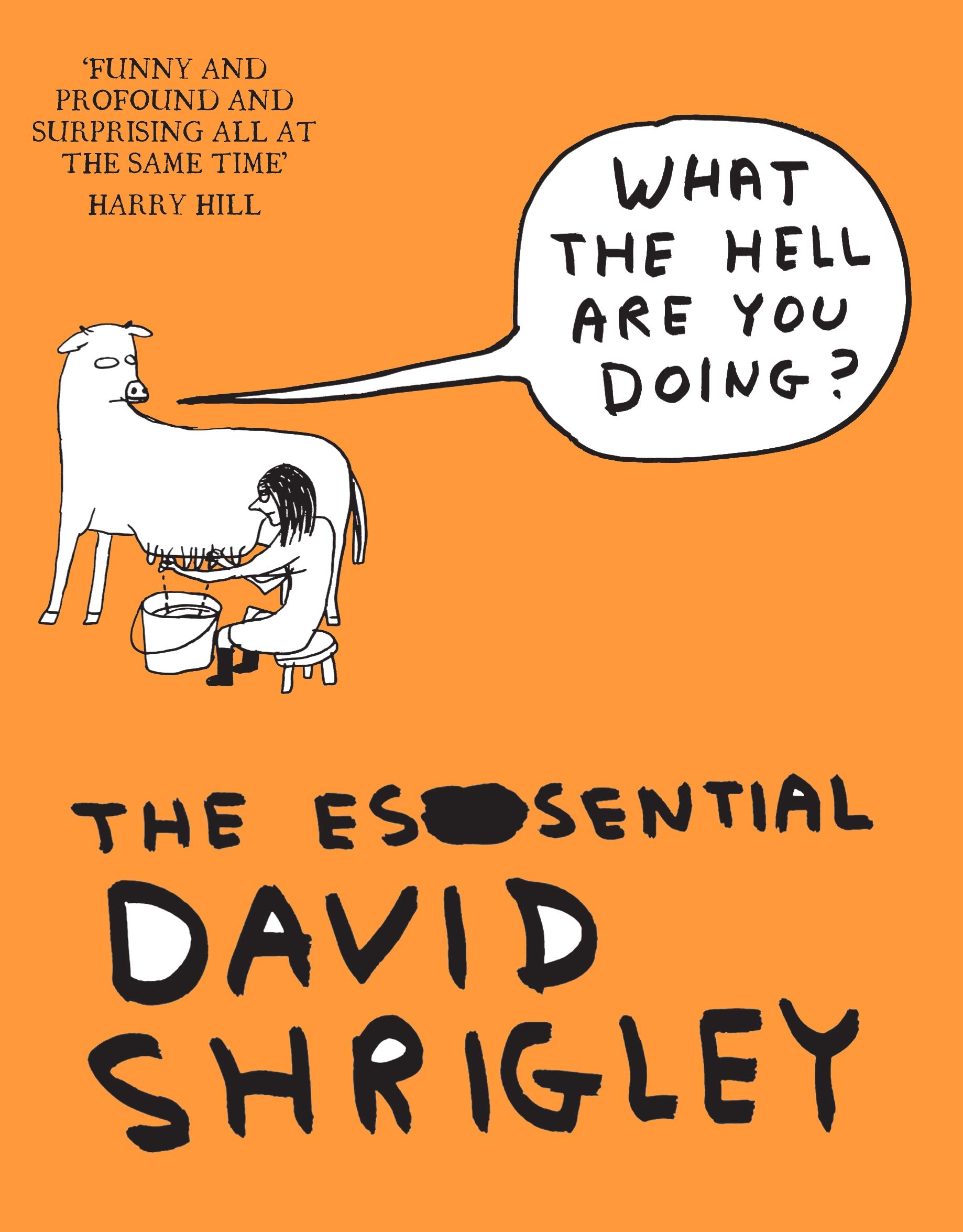 What The Hell Are You Doing?: The Essential David Shrigley: Shrigley ...