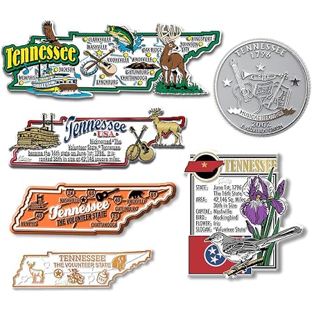 Amazon.com: Tennessee Colorful State Magnet by Classic Magnets, 5.1" x ...