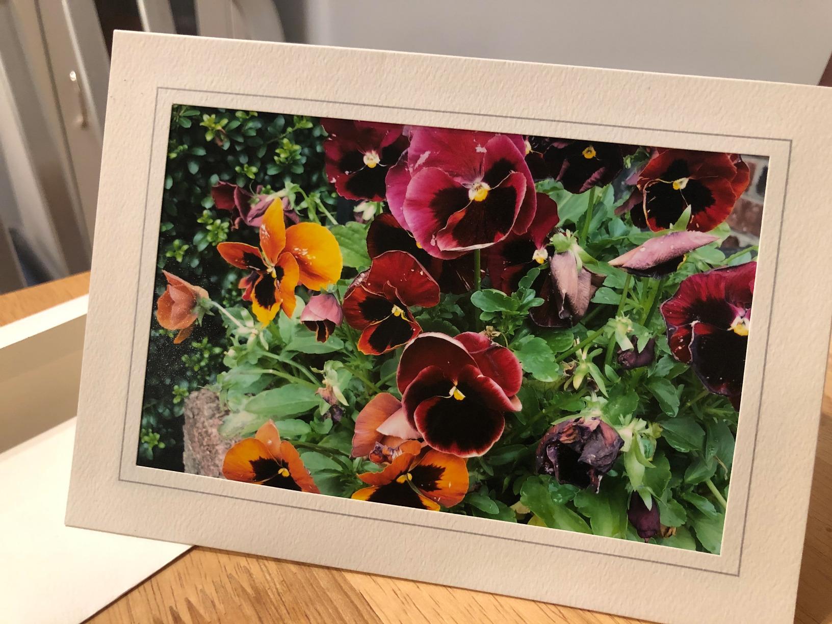 Amazon.com : Photographer's Edge, Photo Insert Card, Bright White with ...