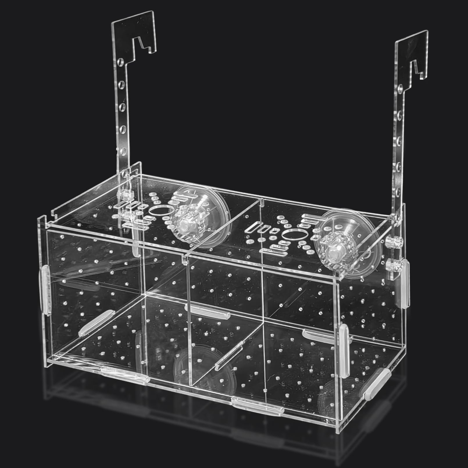 Amazon.com : PINVNBY Acrylic Fish Breeding Box，Guppy breeding Box ...
