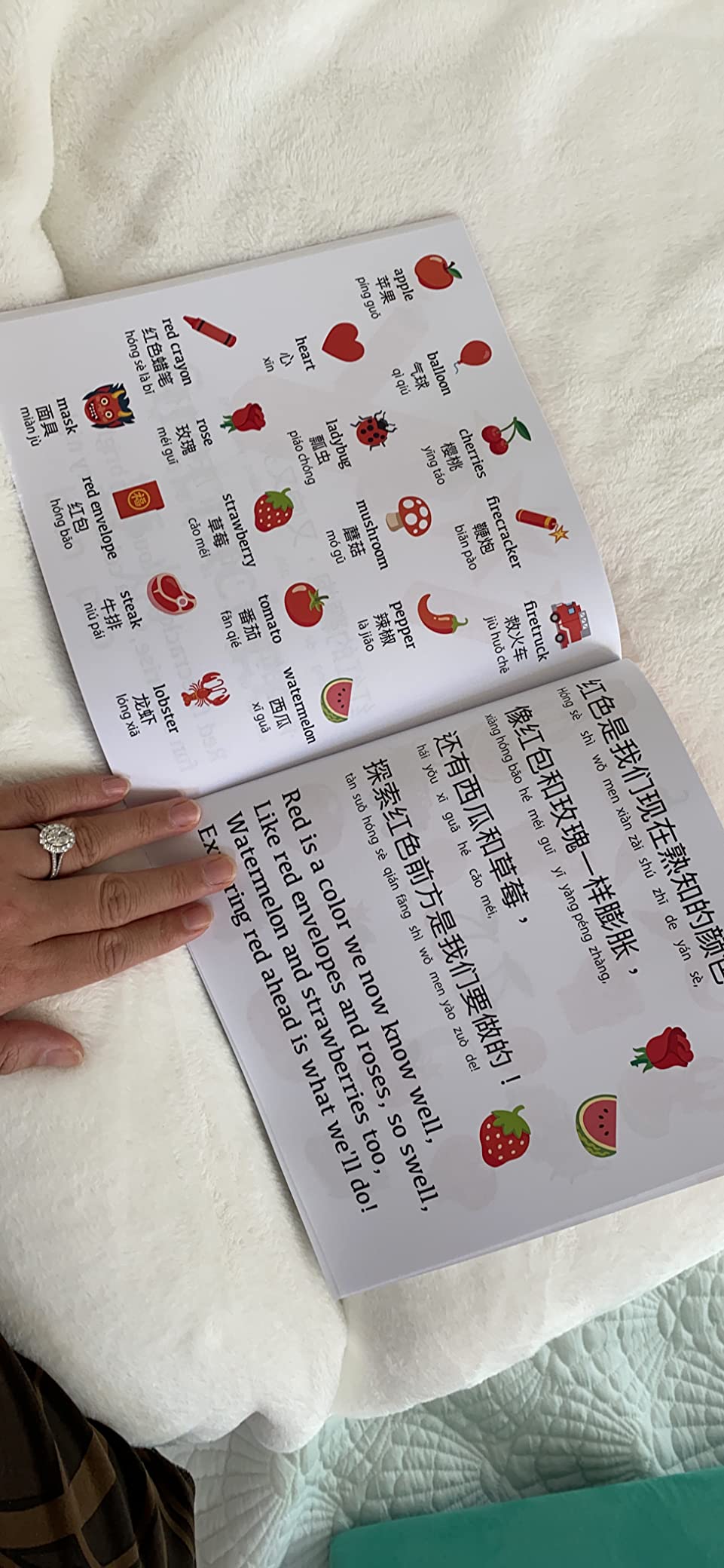 Amazon.com: Discovering Red - A Bilingual Book about Red the Color ...