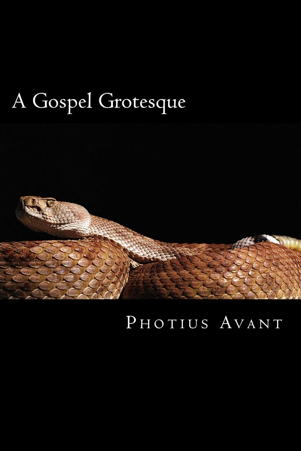 A Gospel Grotesque - Kindle edition by Avant, Photius. Religion ...