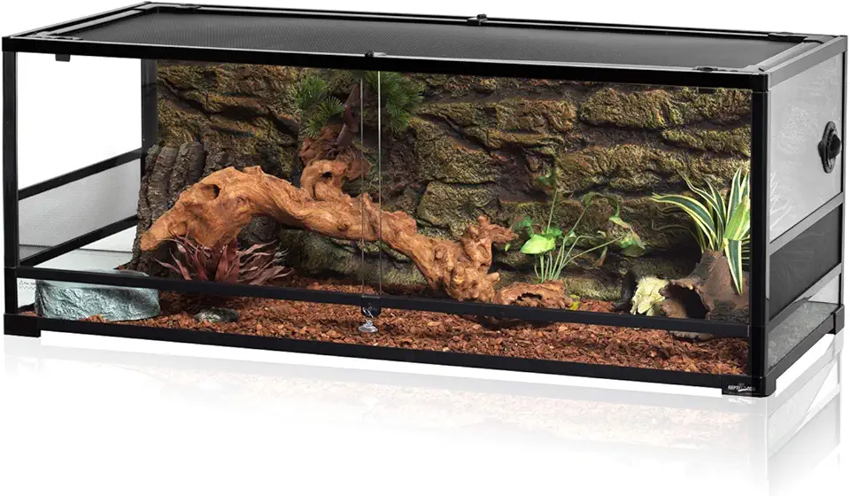 10 Essential Items For A Ball Python Cage Setup | PetShun