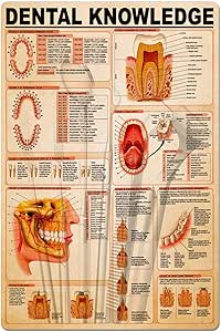 Amazon.com: Dental Knowledge Metal Tin Signs Dental Information Retro ...