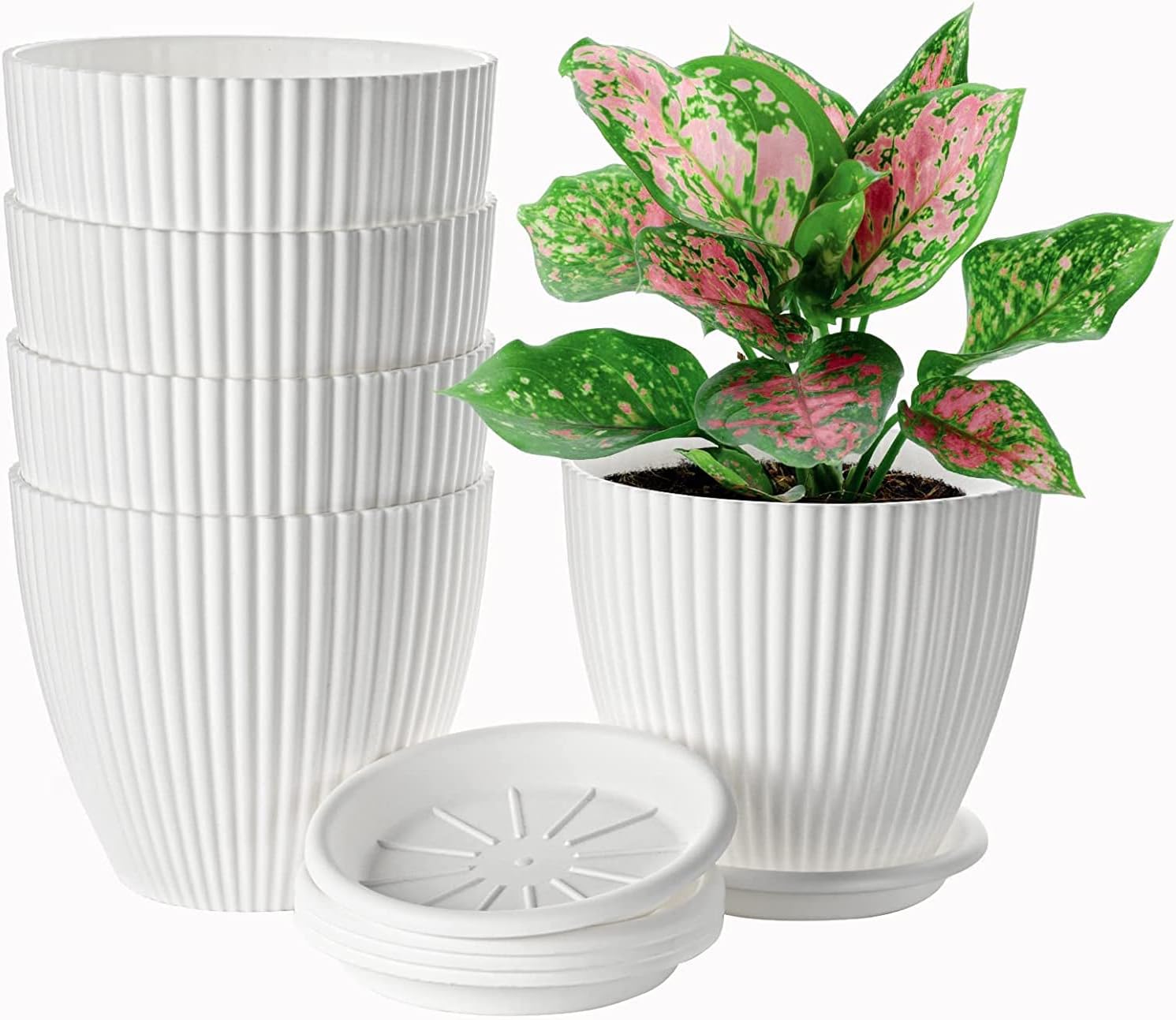 Plant Pots, Chuanju 6 inch Plastic Flower Pots Seedling Nursery Pots ...