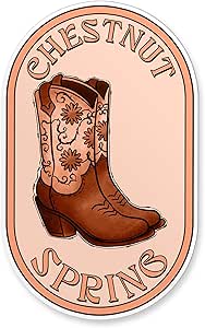 Amazon.com: Chestnut Springs Sticker Books Cowboy Romance Reading Cute ...