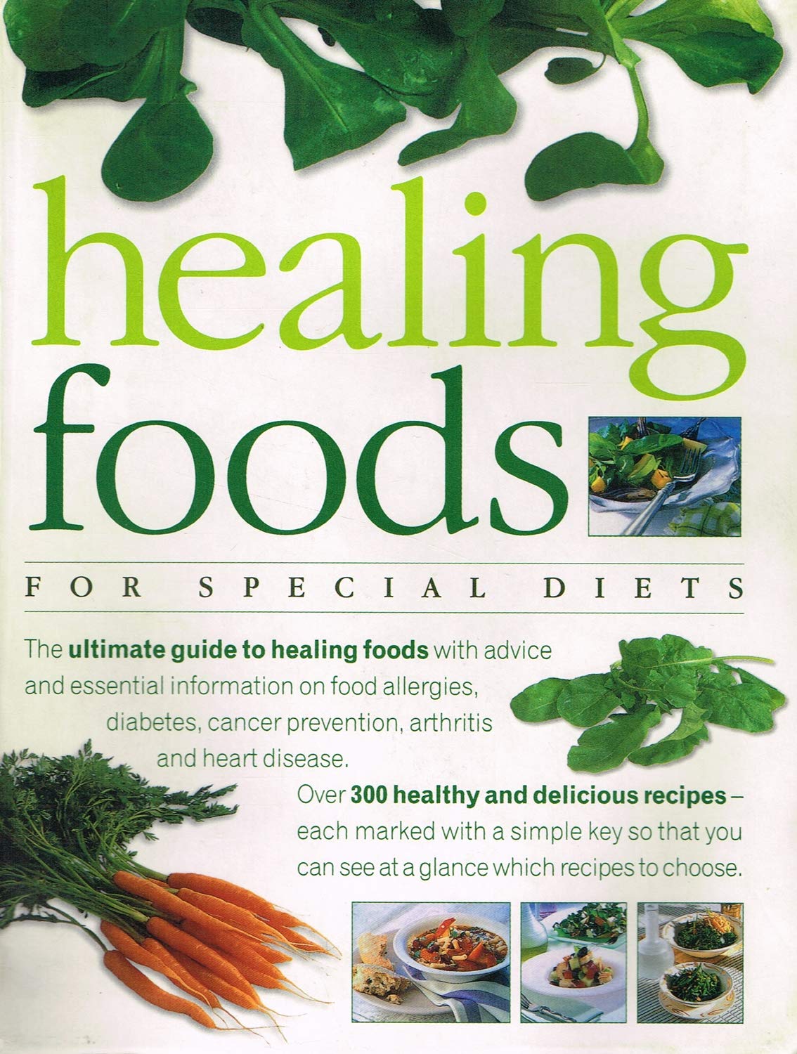 Healing Foods For Special Diets : The Ultimate Gui: unknown author ...