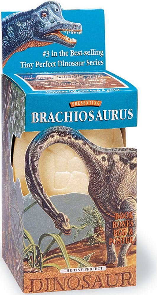Brachiosaurus: Tiny Perfect Dinosaur Series: Acorn, John, Kish, Ely ...