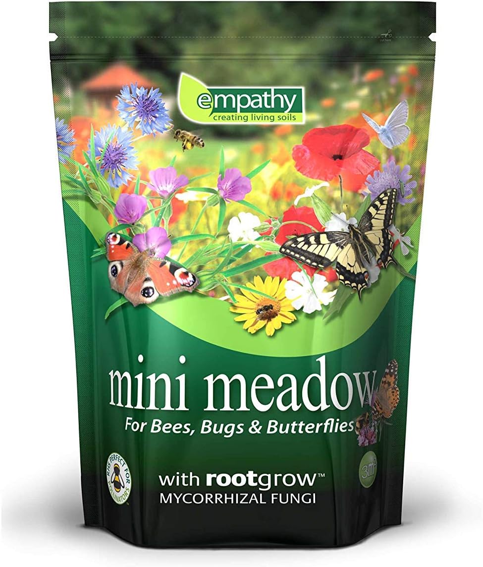 2X3 m Mini Meadow Easy Sow Wild Flower Seed : Amazon.co.uk: Garden