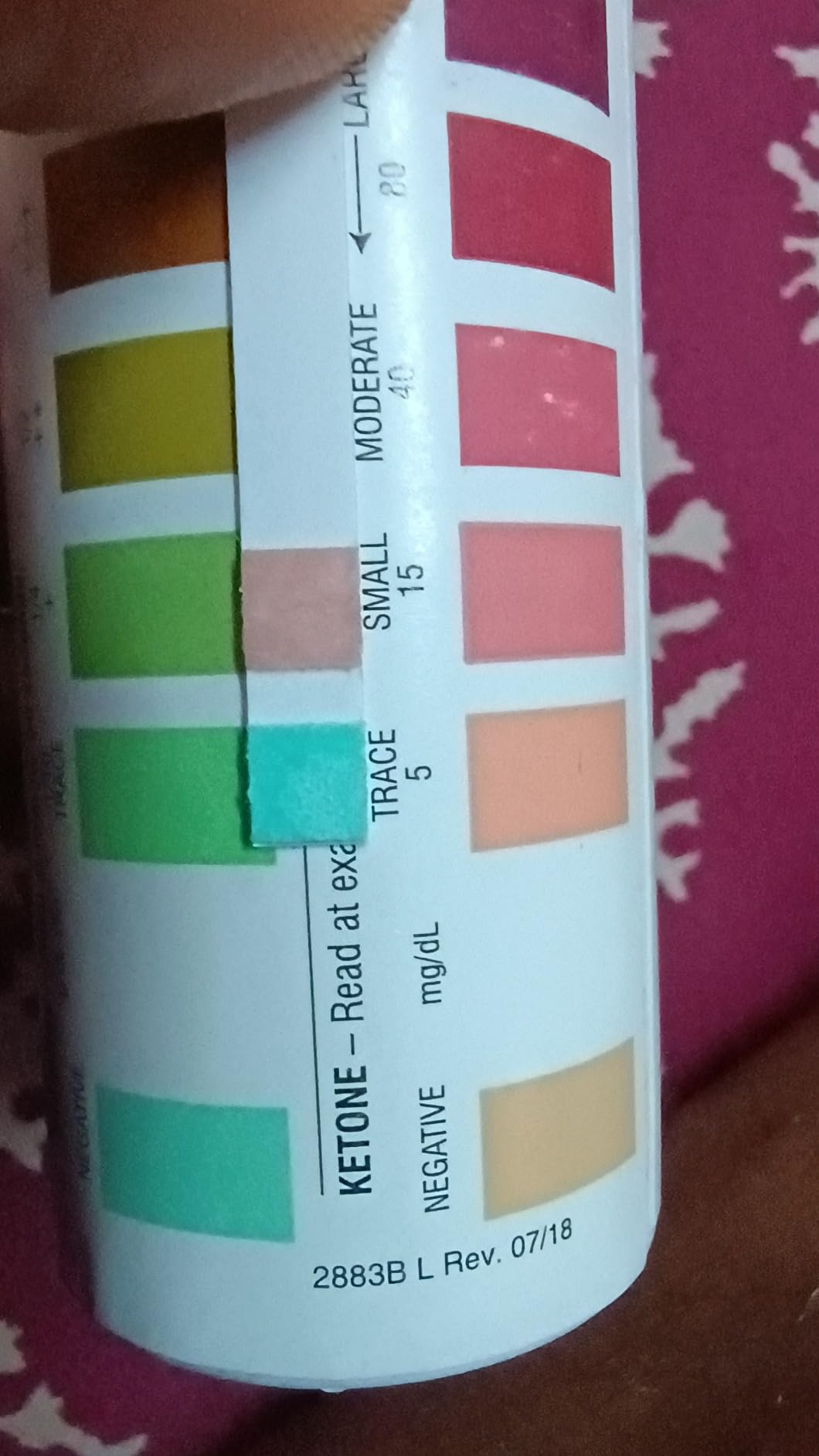 Bayers Keto-Diastix Reagent Strips for Urinalysis- 50 Each : Amazon.in ...