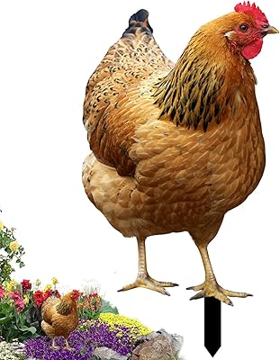 Design Toscano Henrietta Hen Statue, Multicolored : Amazon.ca: Patio ...