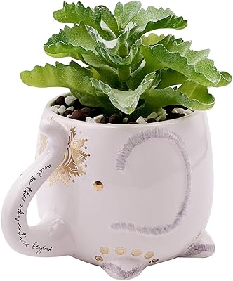 Amazon.com: Disney Lilo & Stitch 3-Inch Ceramic Mini Planter with ...