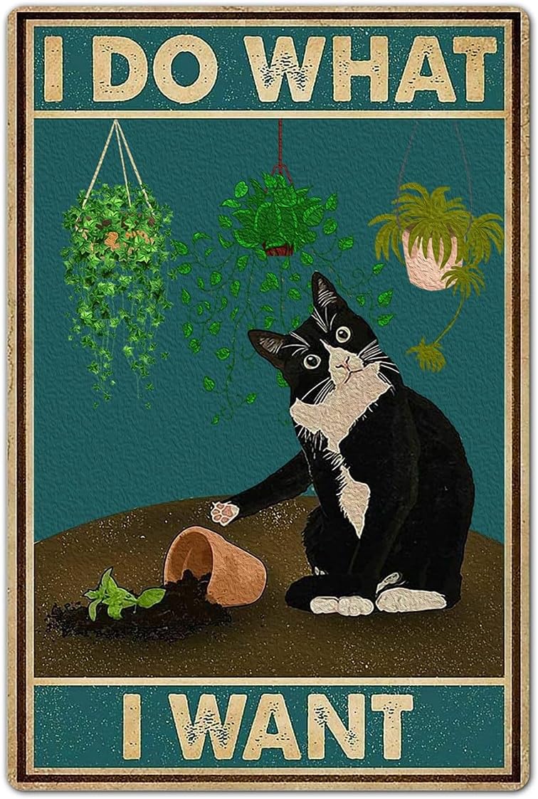 Amazon.com: Black Cat Decor I Do What I Want Tin Sign Art Vintage Funny ...