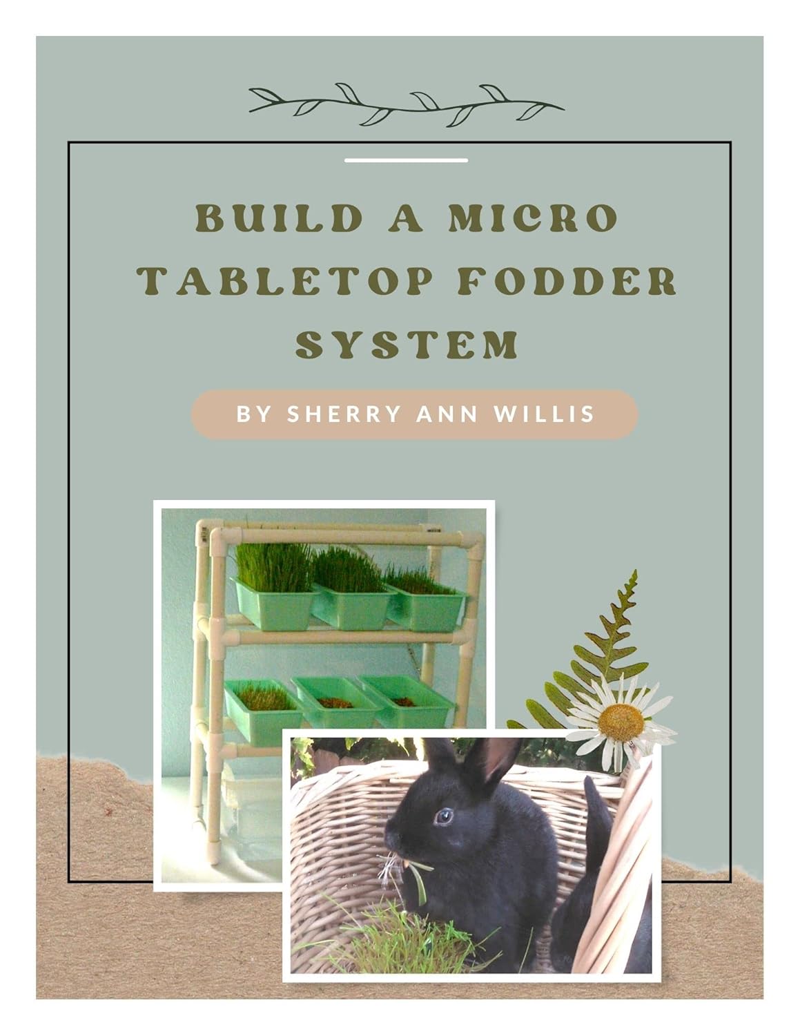 Amazon.com: Build a Micro Tabletop Fodder System: Grow Organic ...