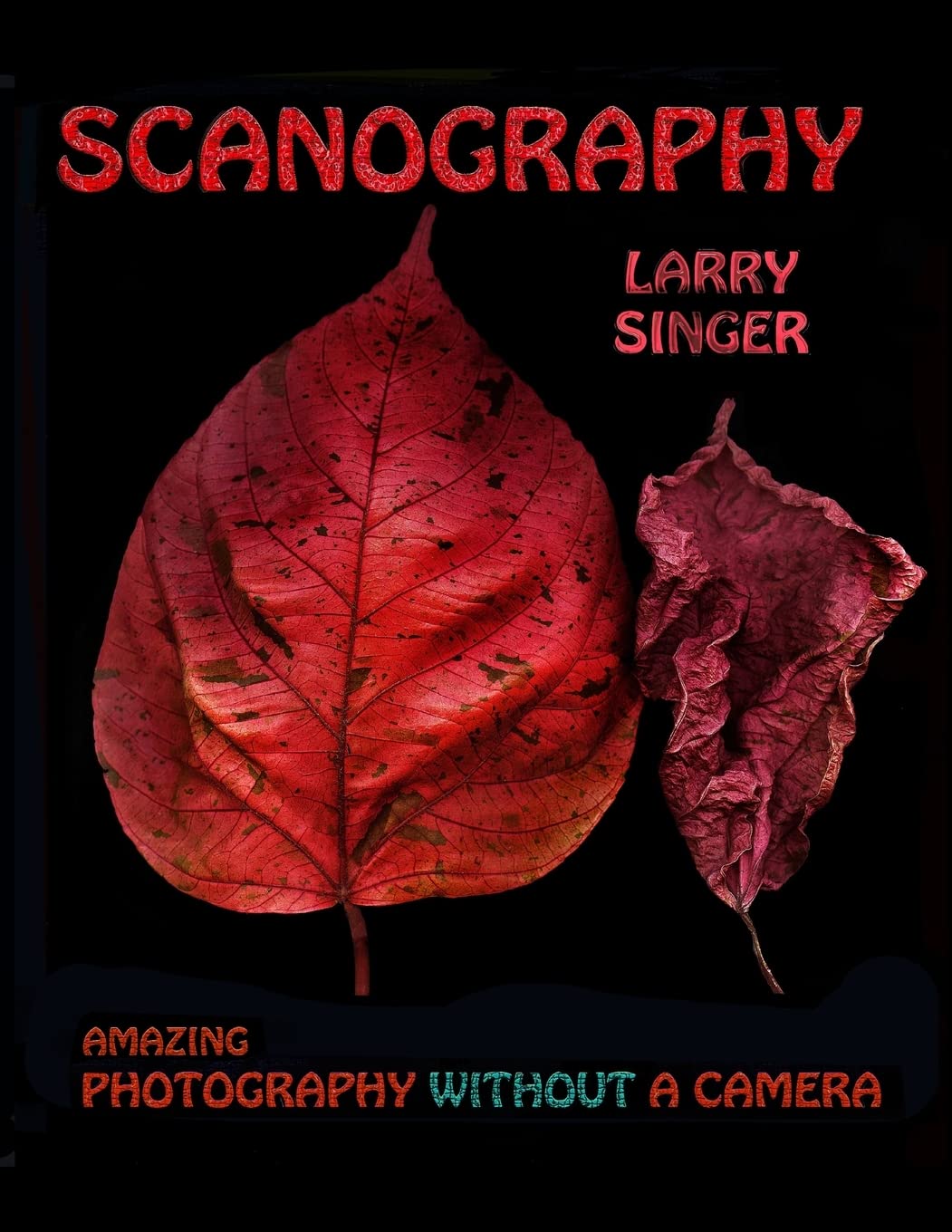 Amazon.com: Scanography: Amazing Photography Without A Camera ...