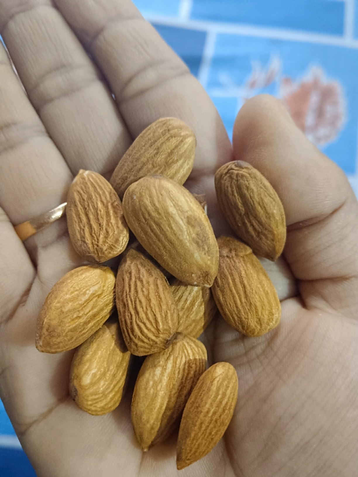 NUTRI BINGE Almond (Badam) 100 Grams - Pack of 6, Premium California ...