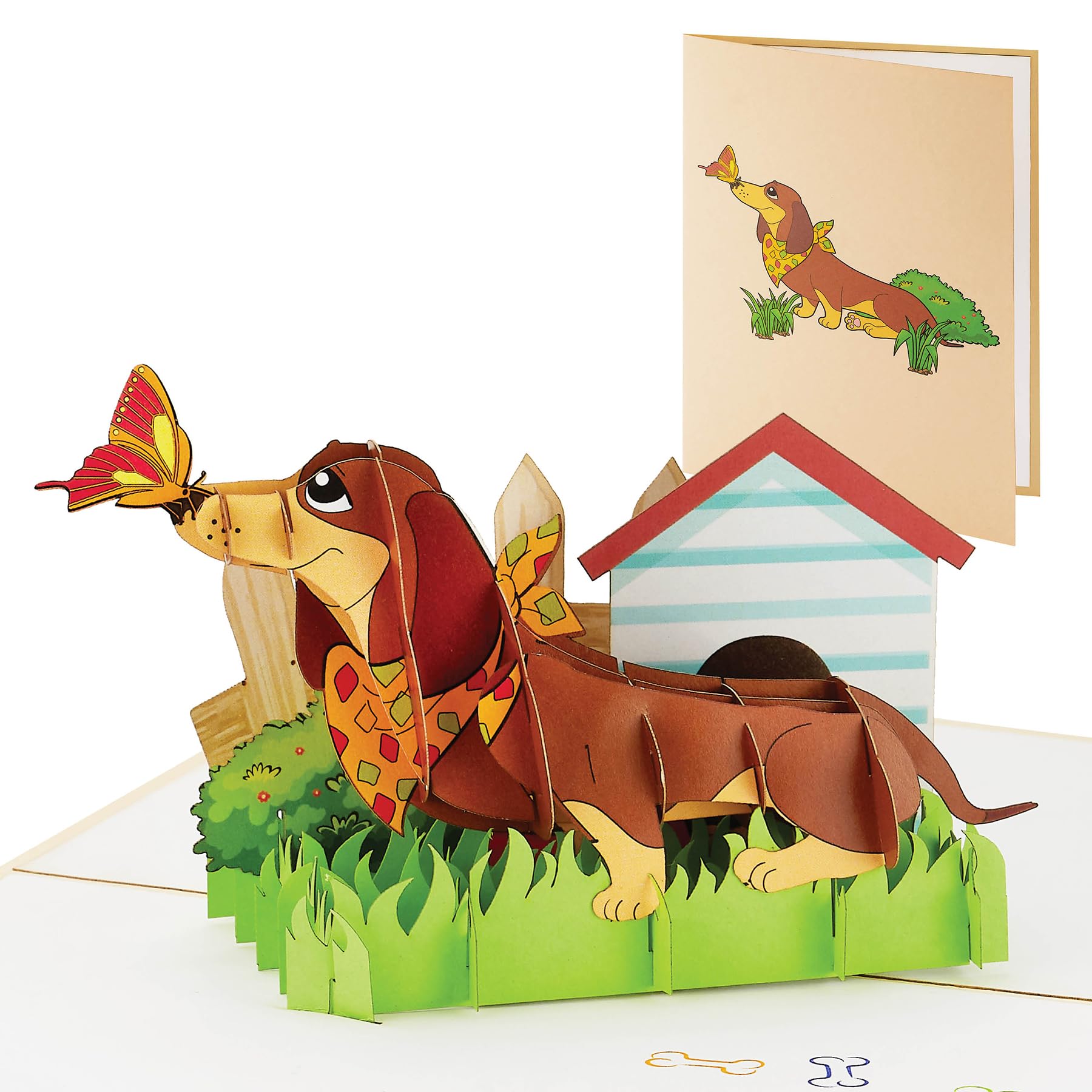 Amazon.com : ioyounow Dachshund Pop Up Card - 6x12 Inch Birthday ...