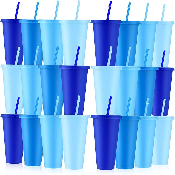 Amazon.com | Skylety 24 Pcs Winter Plastic Cups with Lids and Straws 24 ...