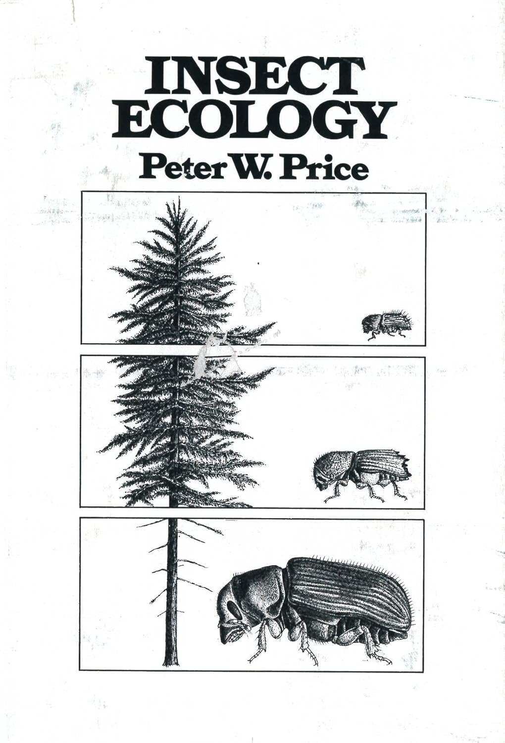 Insect Ecology: Price, Peter W.: 9780471697213: Amazon.com: Books