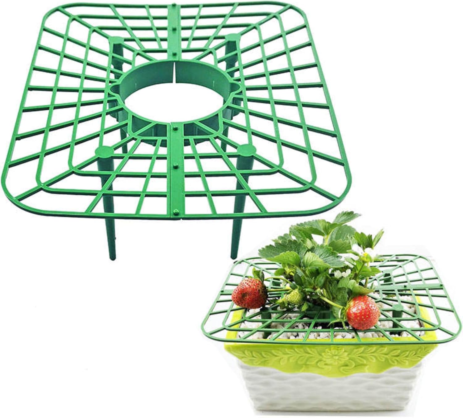 Amazon.com: UIGTKMG 10 Pack Strawberry Plant Holder, Strawberry Growing ...