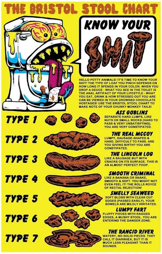 Amazon.com: Retro Vintage Bristol Stool Chart Poop Toilet Health ...